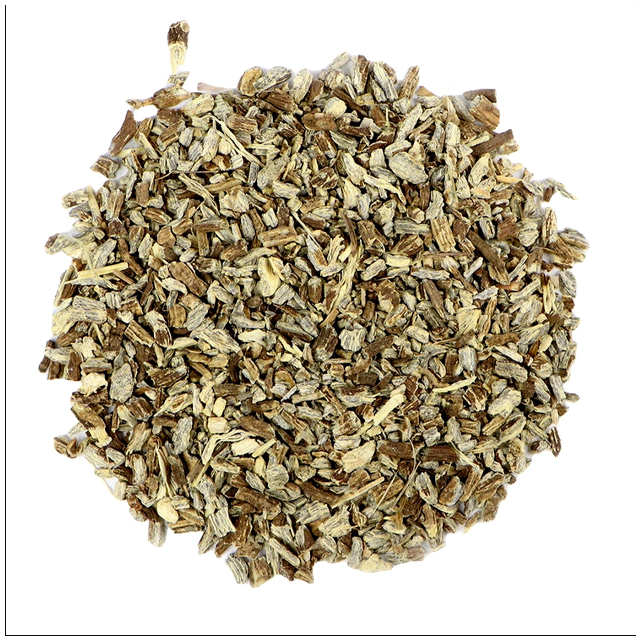 Echinacea Angustifolia Root - Scott Honey Farms & Organics