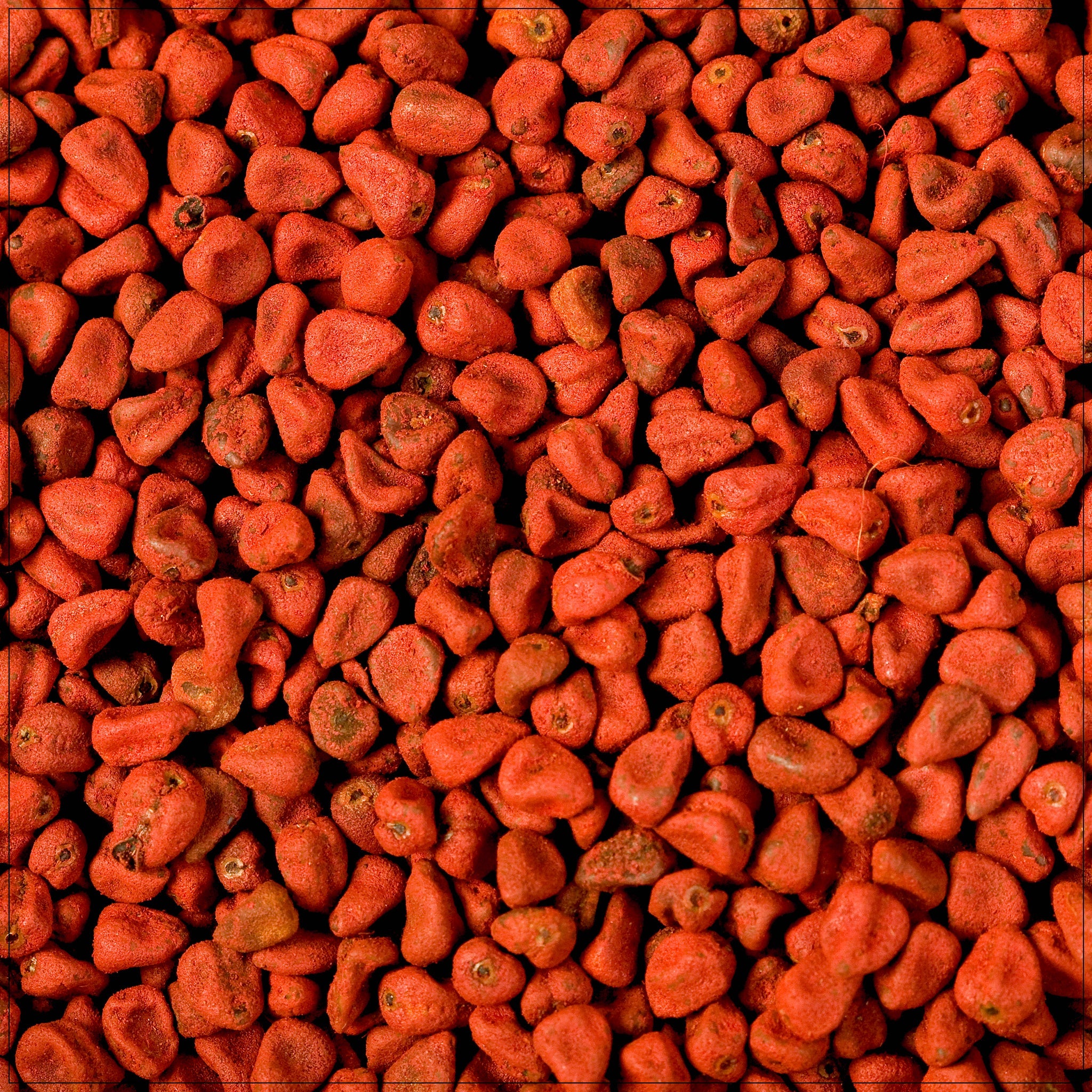 Annatto Seeds - Scott Honey Farms & Organics
