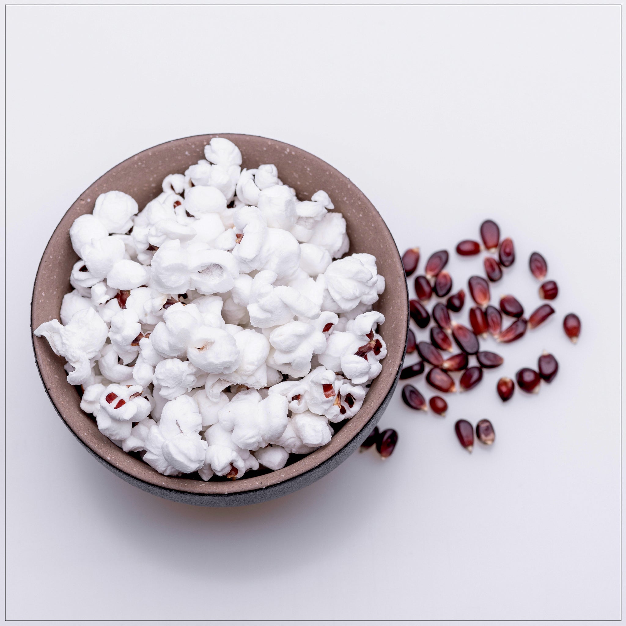 Red Popcorn - Scott Honey Farms & Organics