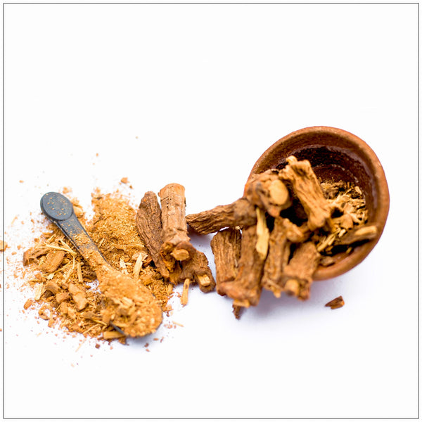 Sarsaparilla Root Powder - Scott Honey Farms & Organics